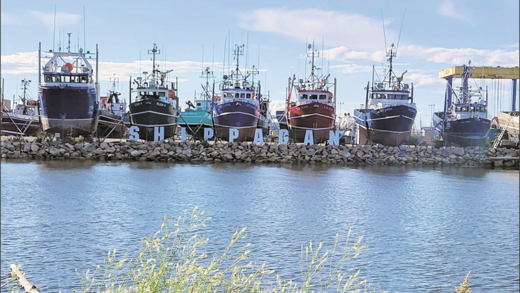 Shippagan… l’embarras du choix – Découvrez le N.-B. 2023