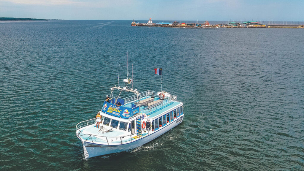 Le crustacé de l’été à Shediac – Découvrez le N.-B. 2025